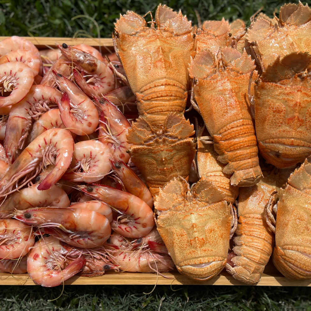 Cooked 5kg 50/50 Mixed Box Prawns & Moreton Bay Bugs | Shegan Dawn Seafood